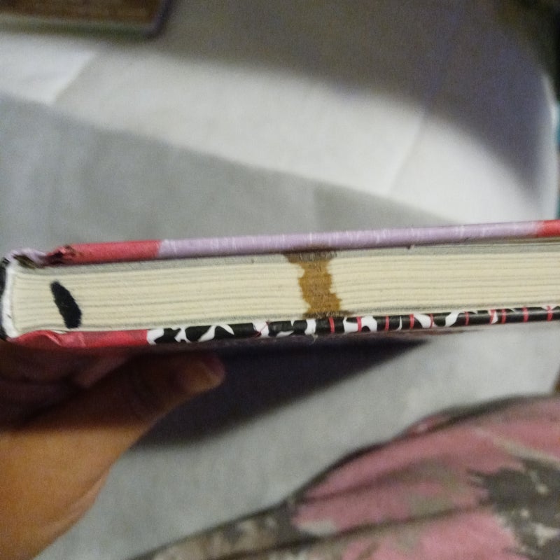 Monster High Diaries: Draculaura and the New Stepmomster by Nessi Monstrata