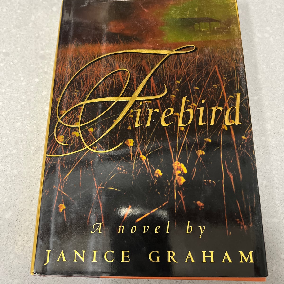 Firebird by Janice Graham