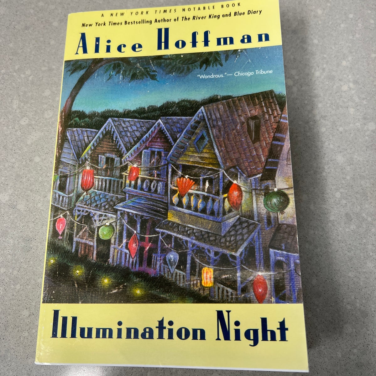 Illumination Night by Alice Hoffman