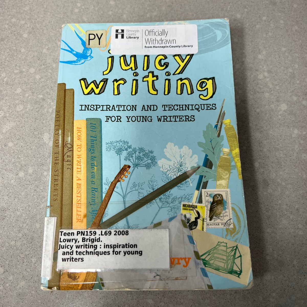 Juicy Writing by Brigid Lowry, Paperback | Pangobooks