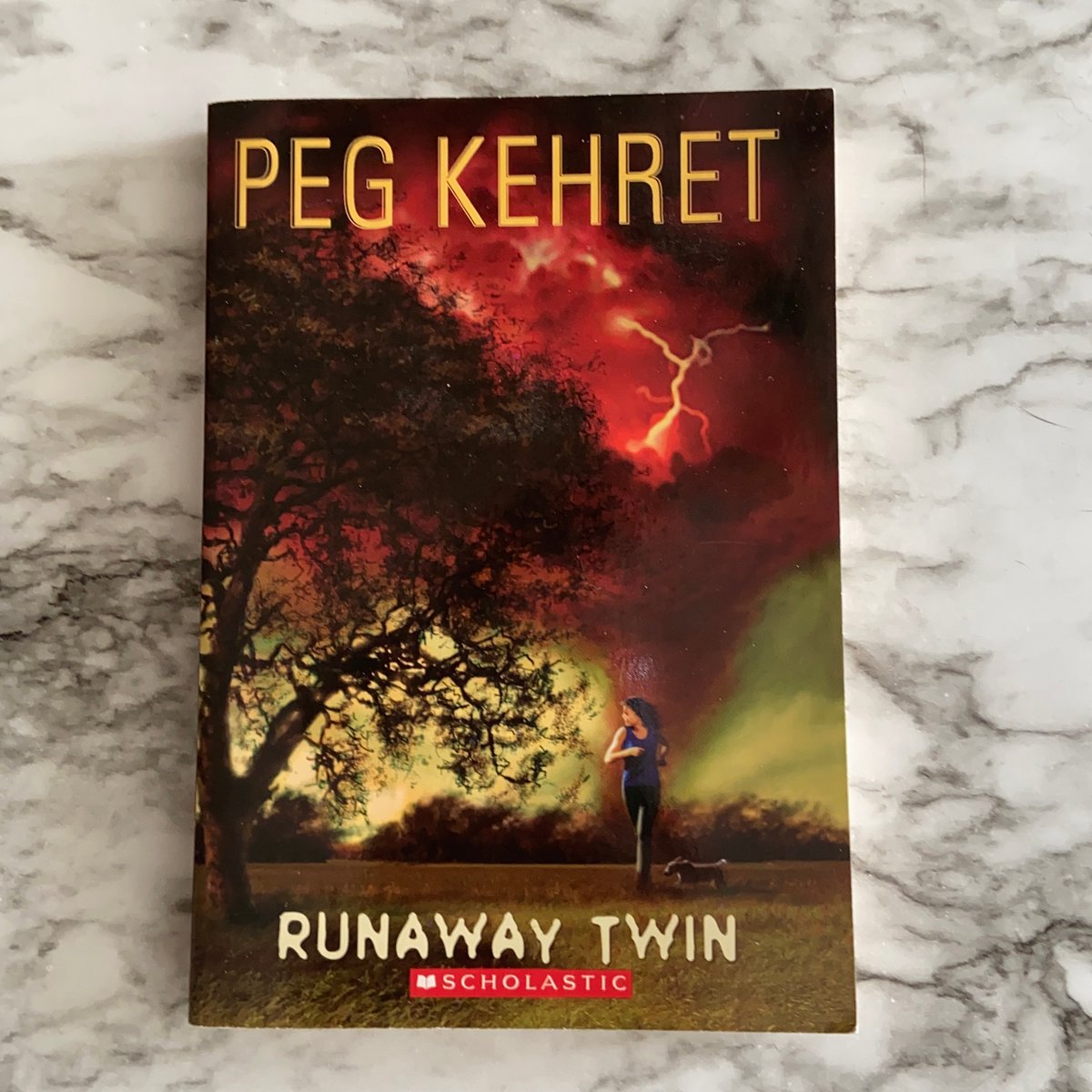 Runaway Twin by Peg Kehret