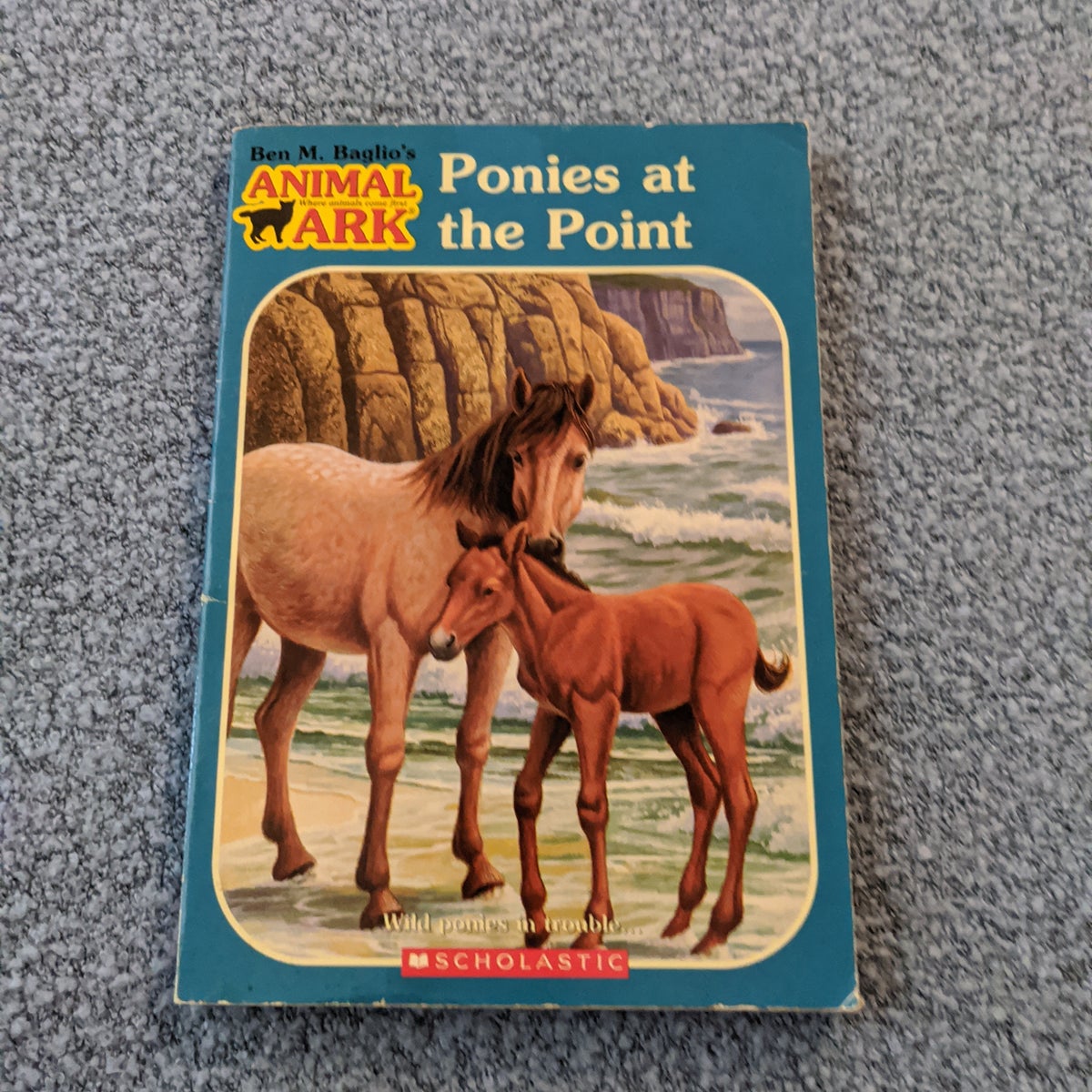 Ponies at the Point by Ben M. Baglio