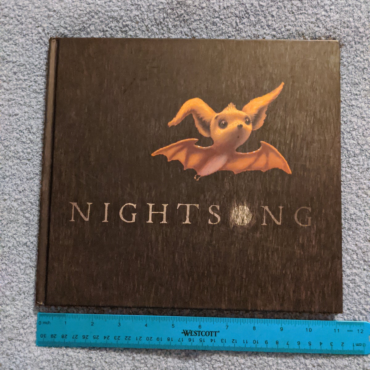 Nightsong by Ari Berk