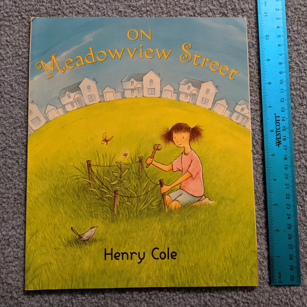 On Meadowview Street by Henry Cole, Paperback | Pangobooks