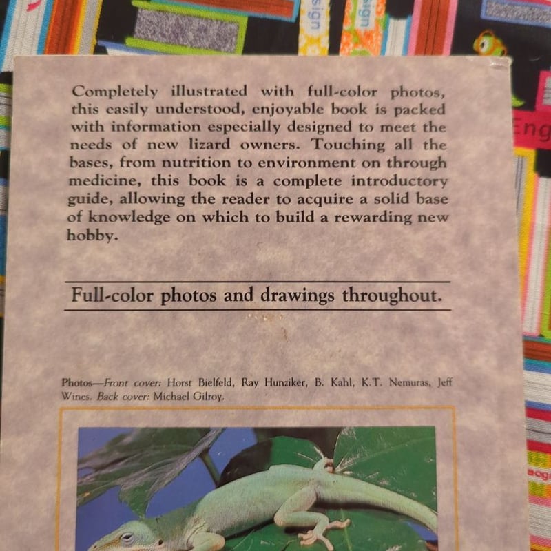 A Step by Step Book about Lizards by Ray Staszko