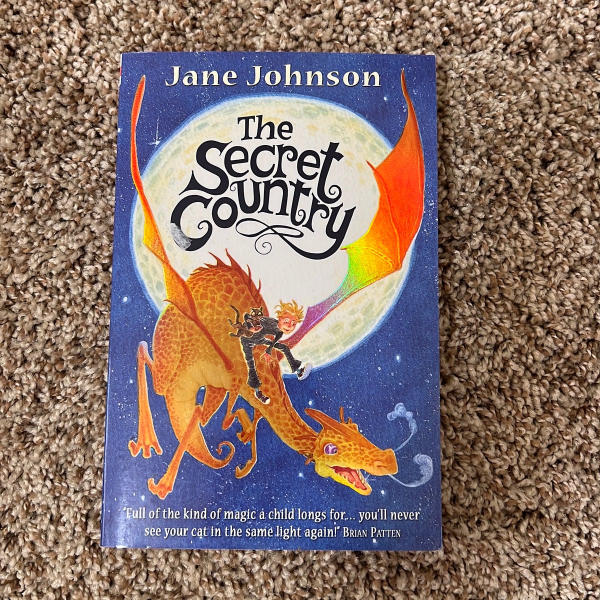 Secret Country by Jane Johnson