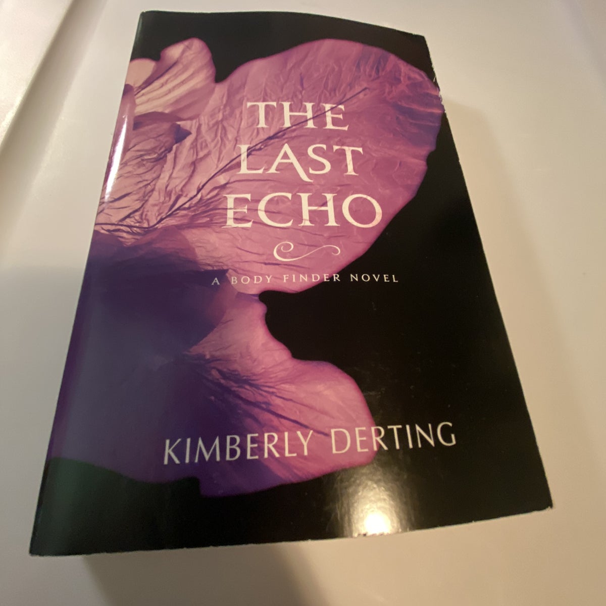 The Last Echo by Kimberly Derting