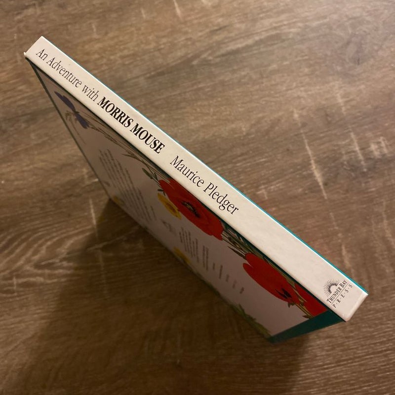 An Adventure with Morris Mouse by Maurice Pledger, Hardcover | Pangobooks