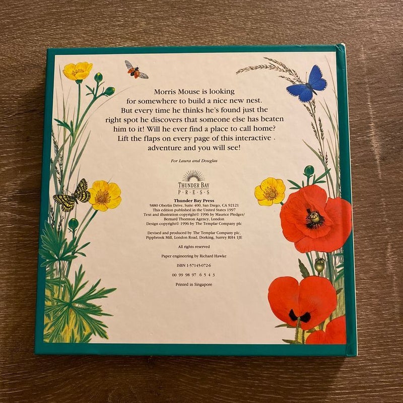 An Adventure with Morris Mouse by Maurice Pledger, Hardcover | Pangobooks