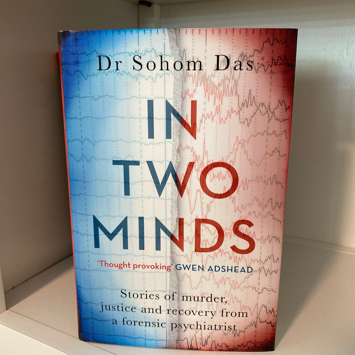 In Two Minds by Sohom Das