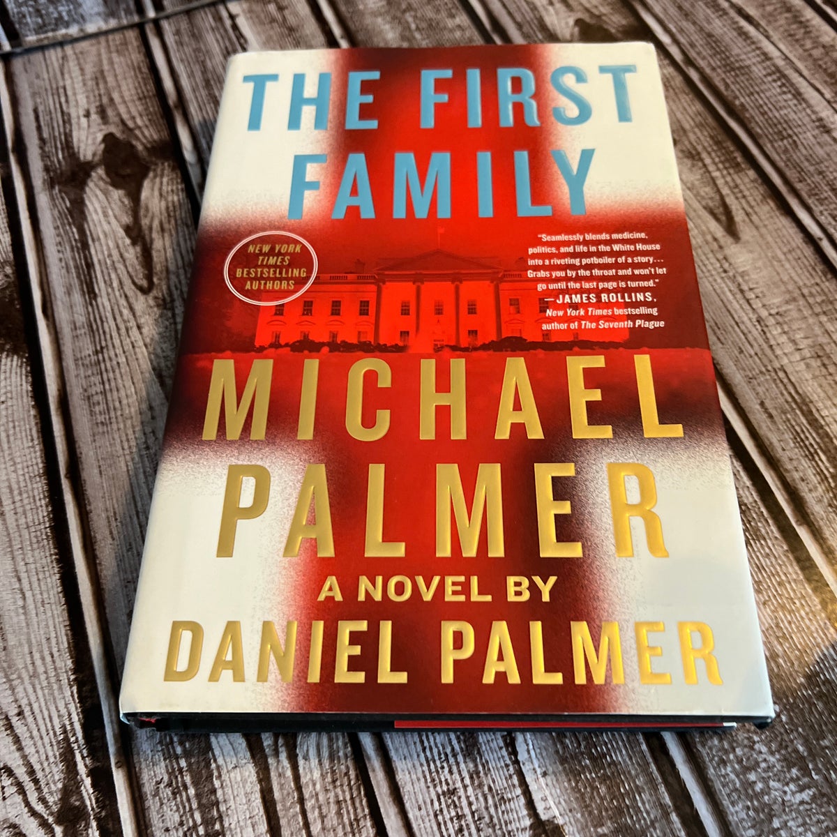 The First Family by Michael Palmer, Daniel Palmer