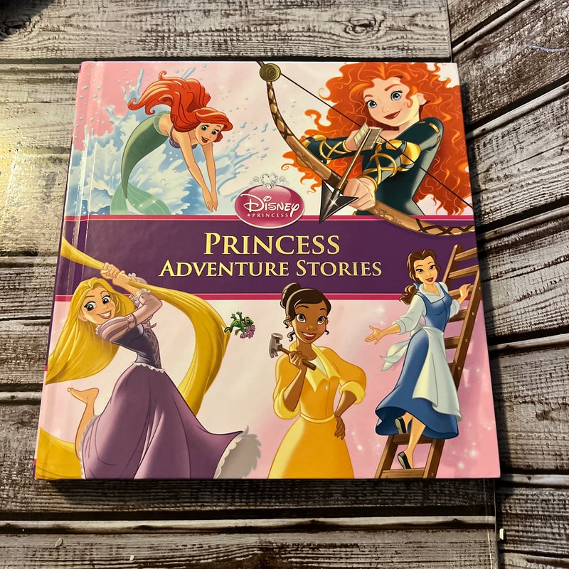 Princess Adventure Stories by Disney Books