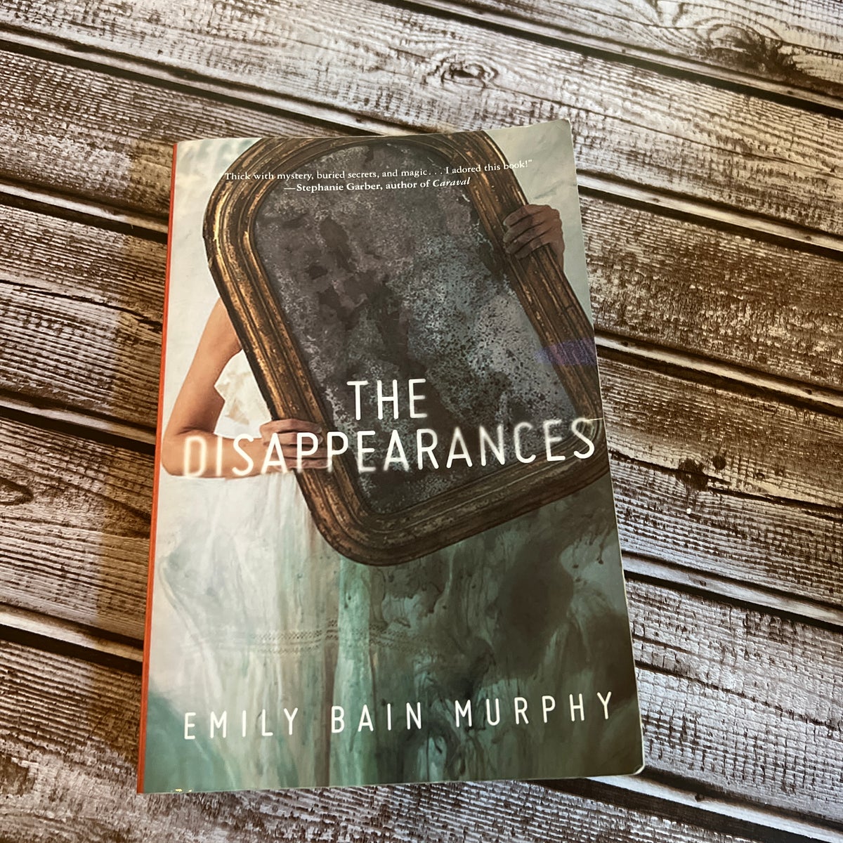 The Disappearances by Emily Bain Murphy