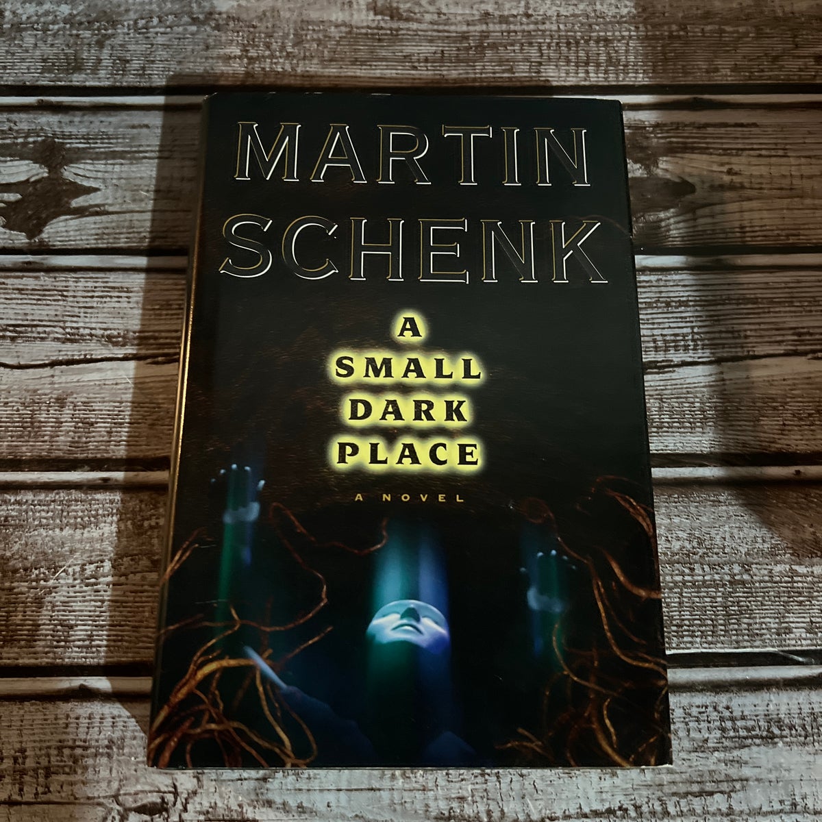 Small Dark Place by Martin Schenk