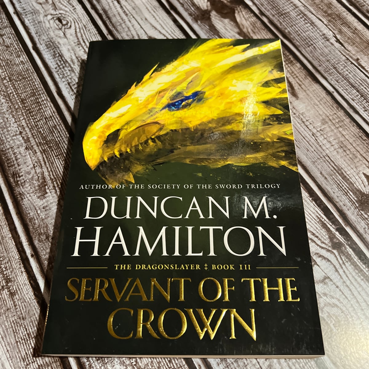 Servant of the Crown by Duncan M. Hamilton, Paperback | Pangobooks