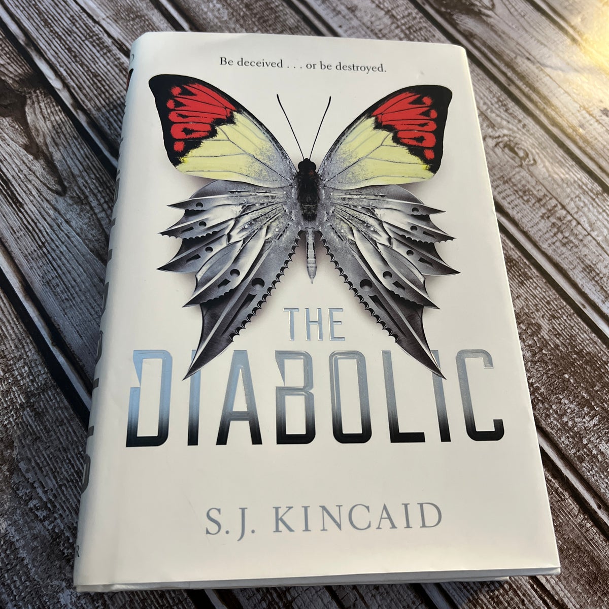 The Diabolic by S. J. Kincaid, Hardcover | Pangobooks