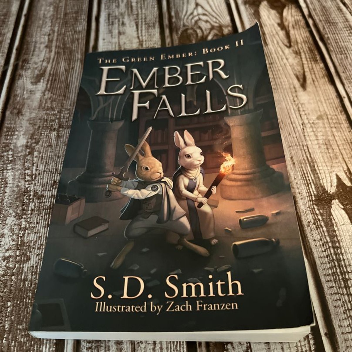 Ember Falls by S. D. Smith