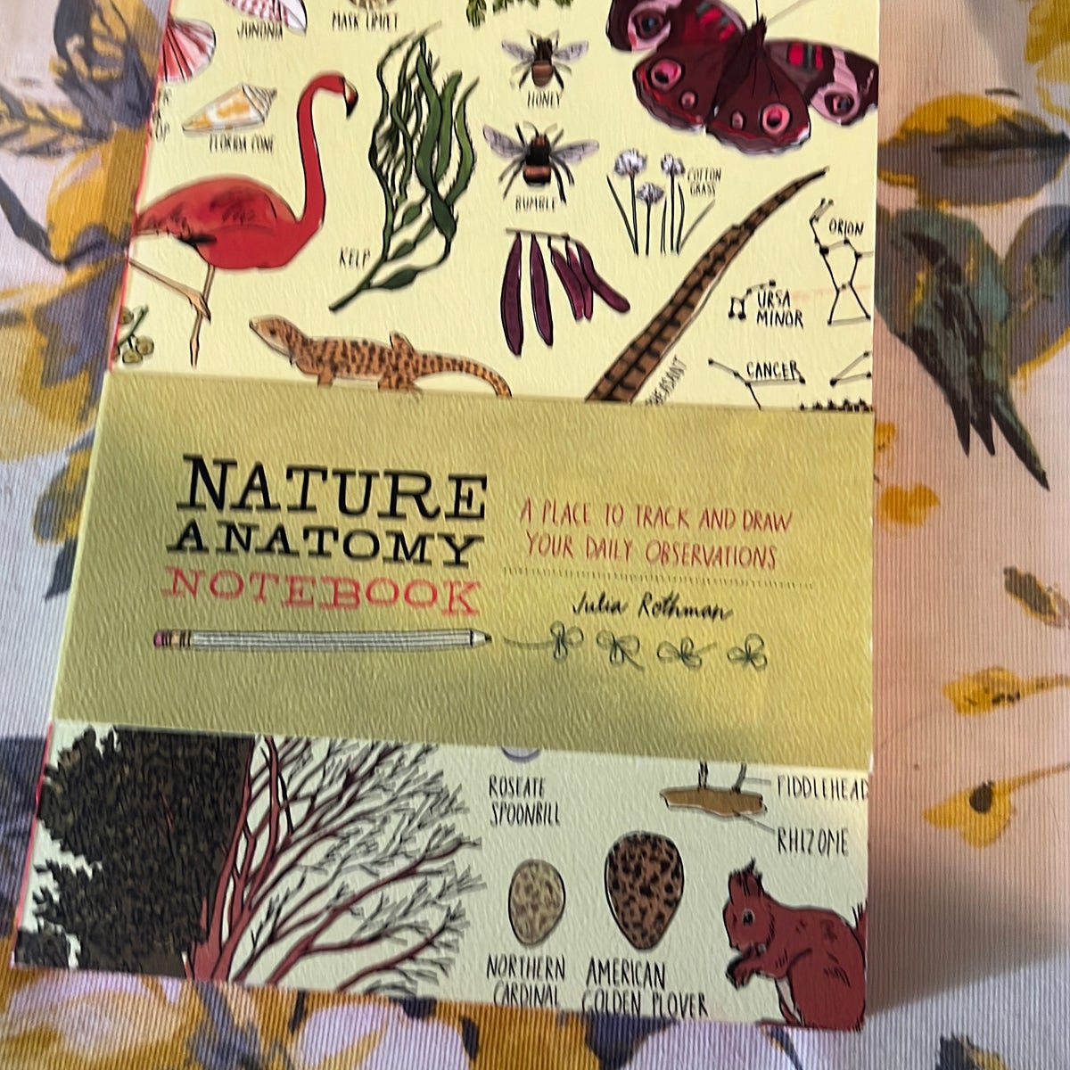 Nature Anatomy Notebook by Julia Rothman