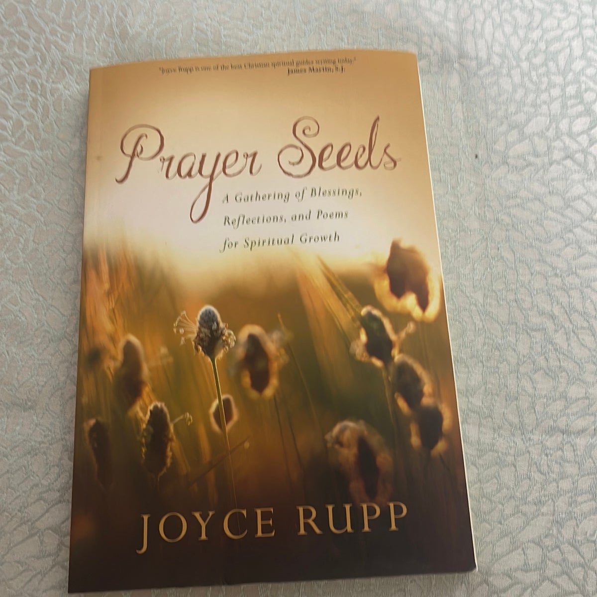 Prayer Seeds by Joyce Rupp