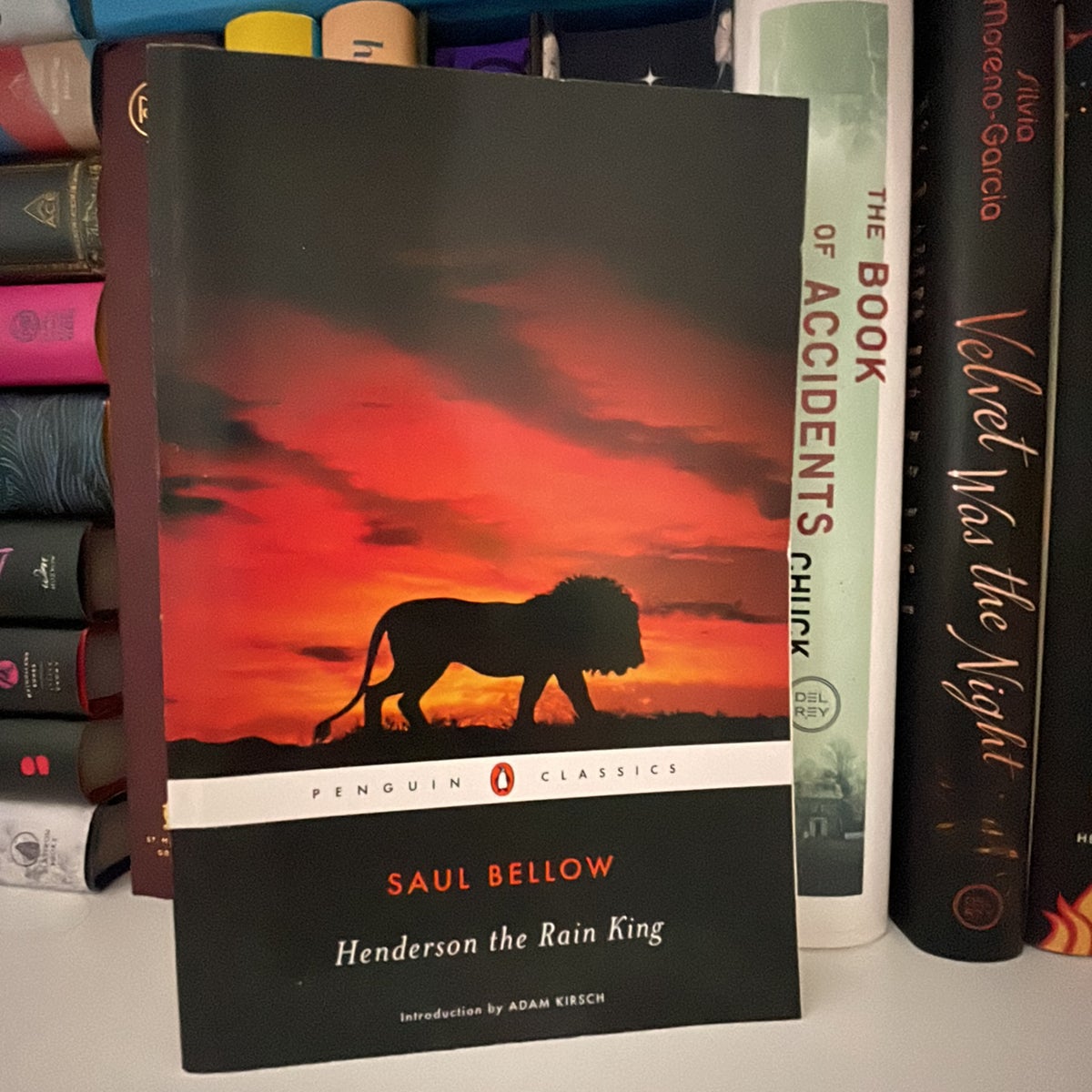 Henderson the Rain King by Saul Bellow, Adam Kirsch