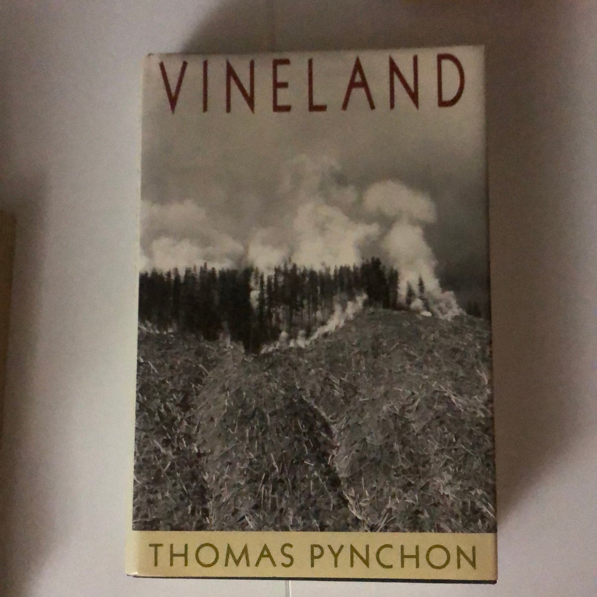 Vineland by Thomas Pynchon
