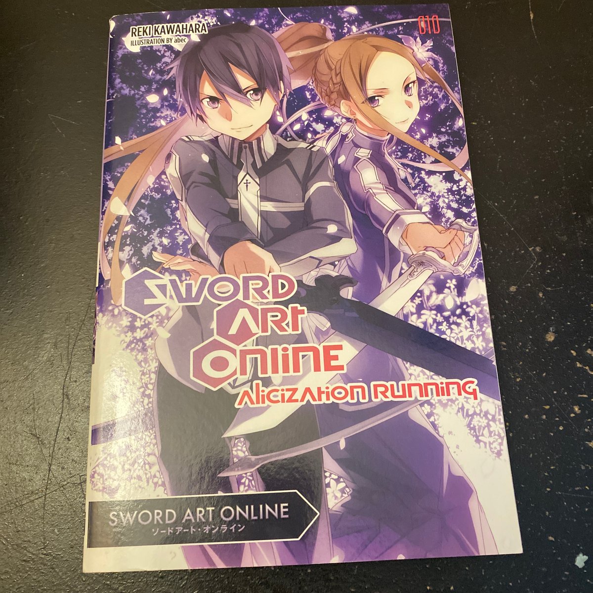 Sword Art Online 10 (light Novel) by Reki Kawahara