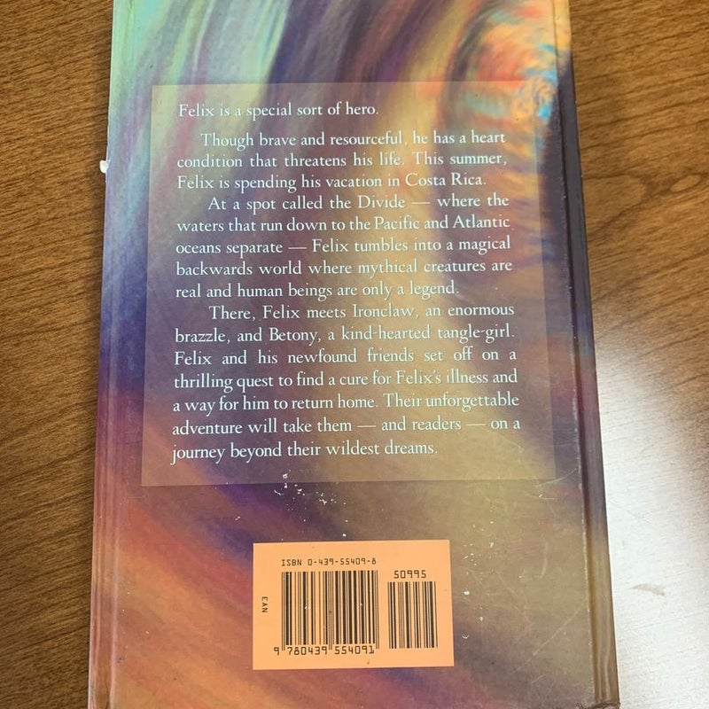 The Divide by Elizabeth Kay, Hardcover | Pangobooks