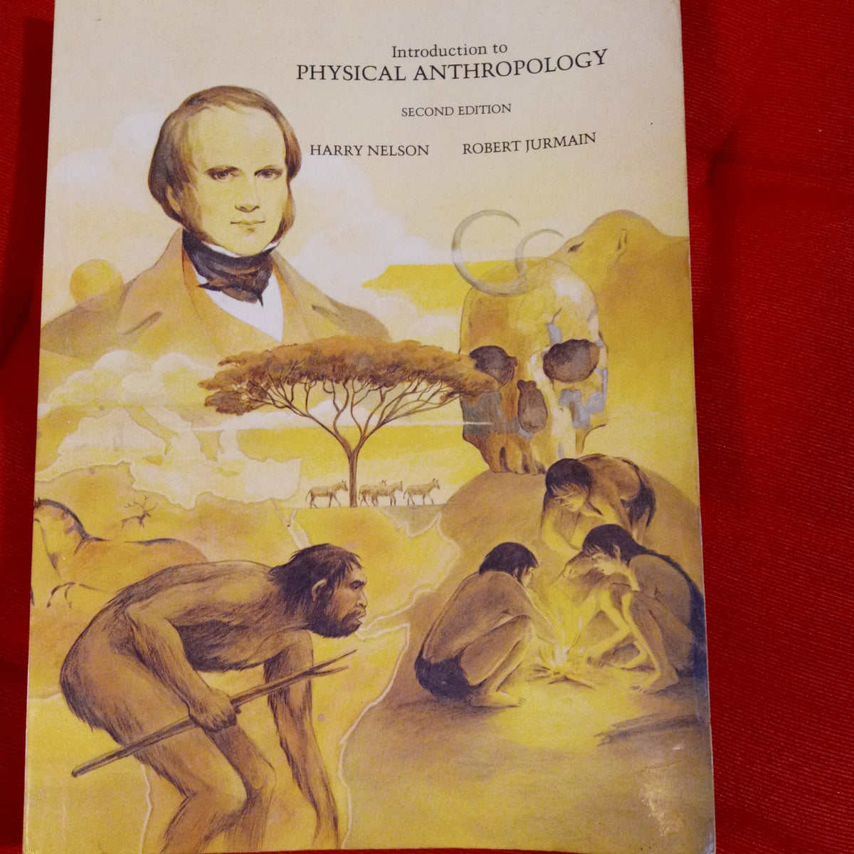Introduction to Physical Anthropology 2011-2012 Edition by Robert ...