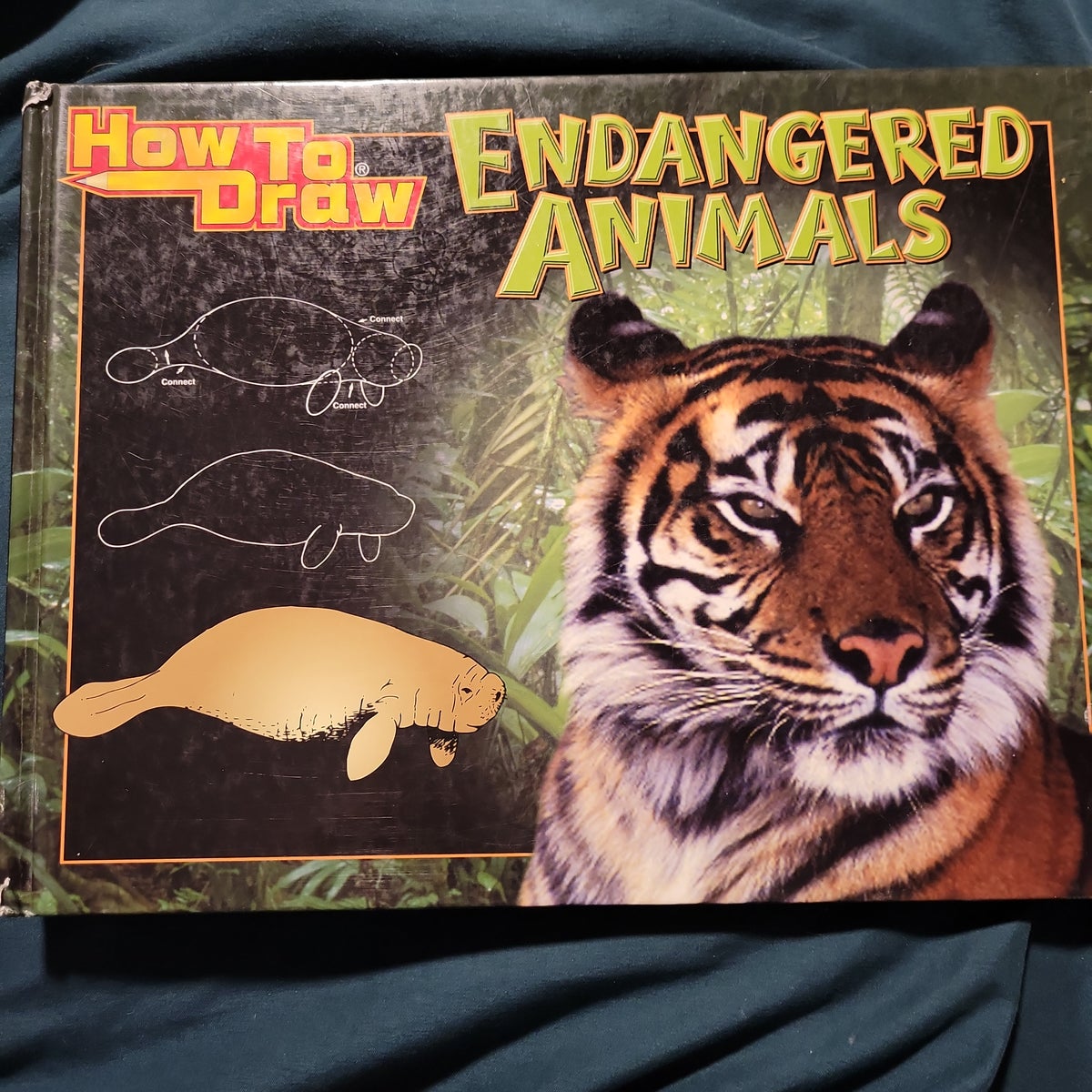 How to Draw Endangered Animals by Georgene Griffin