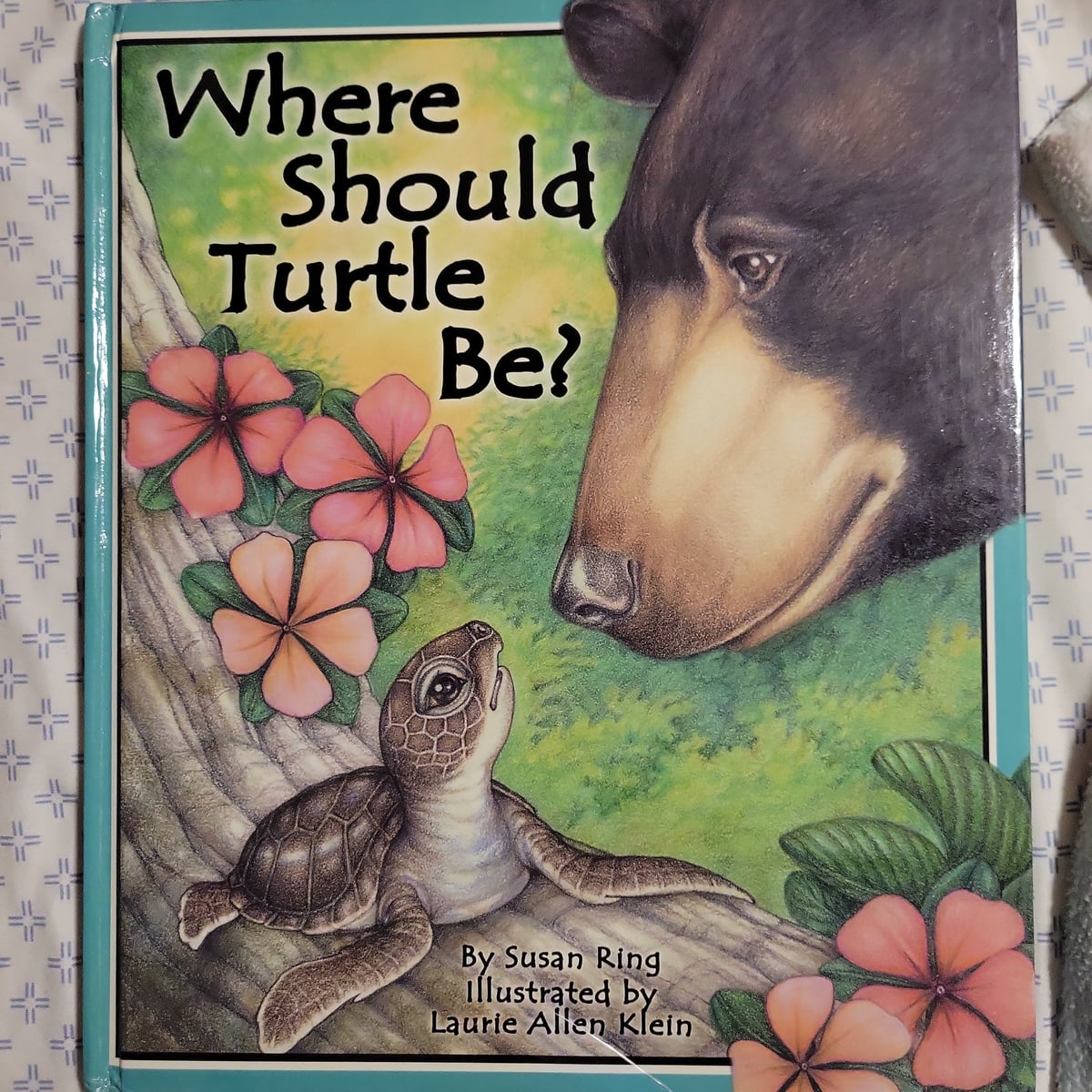 Where Should Turtle Be? by Susan Ring