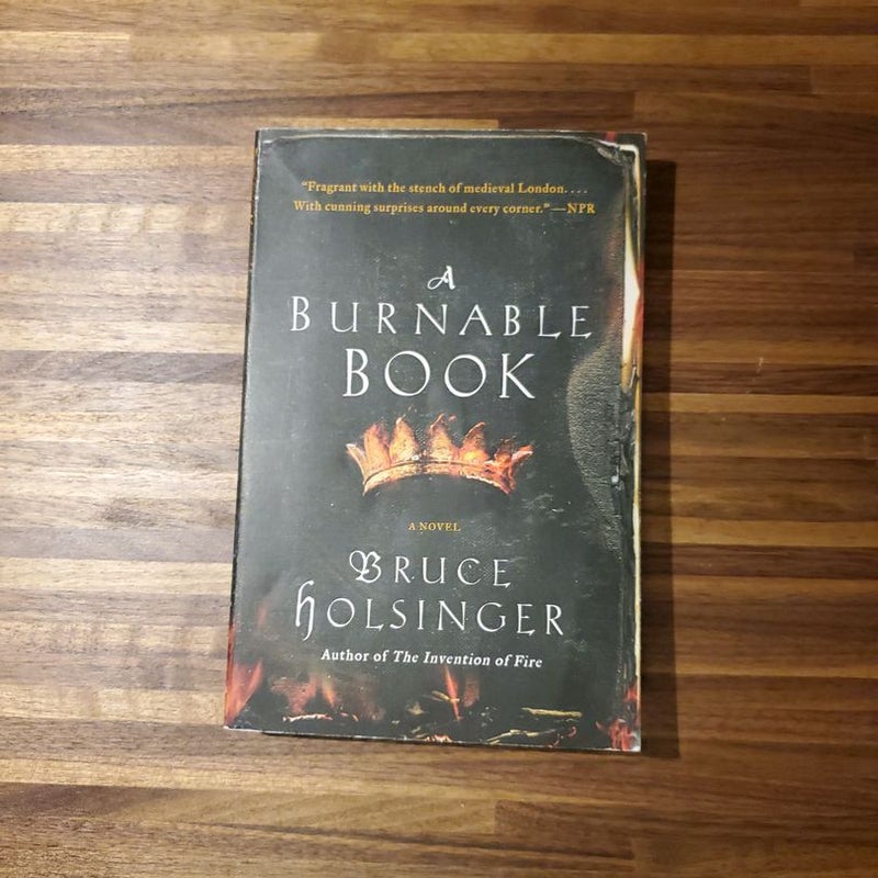A Burnable Book by Bruce Holsinger