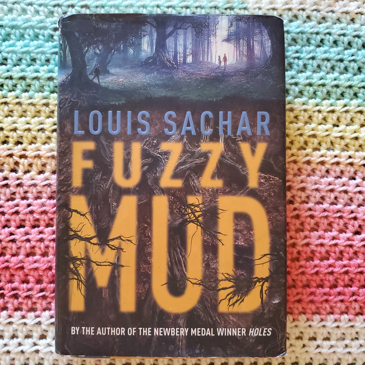 Fuzzy Mud by Louis Sachar