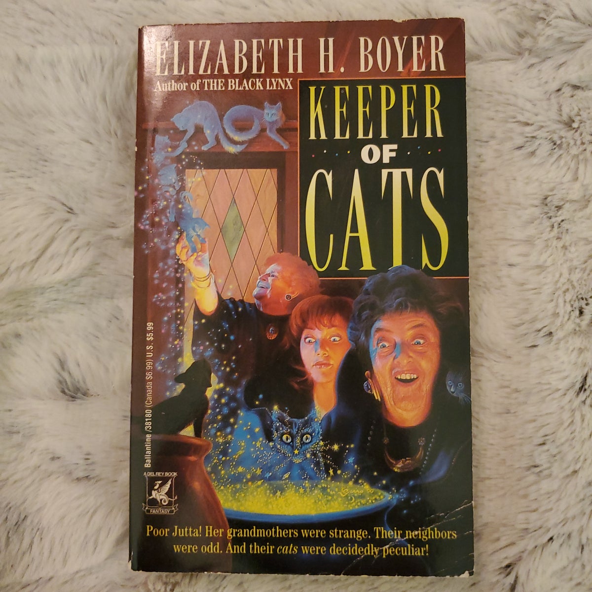 Keeper of Cats by Elizabeth H. Boyer