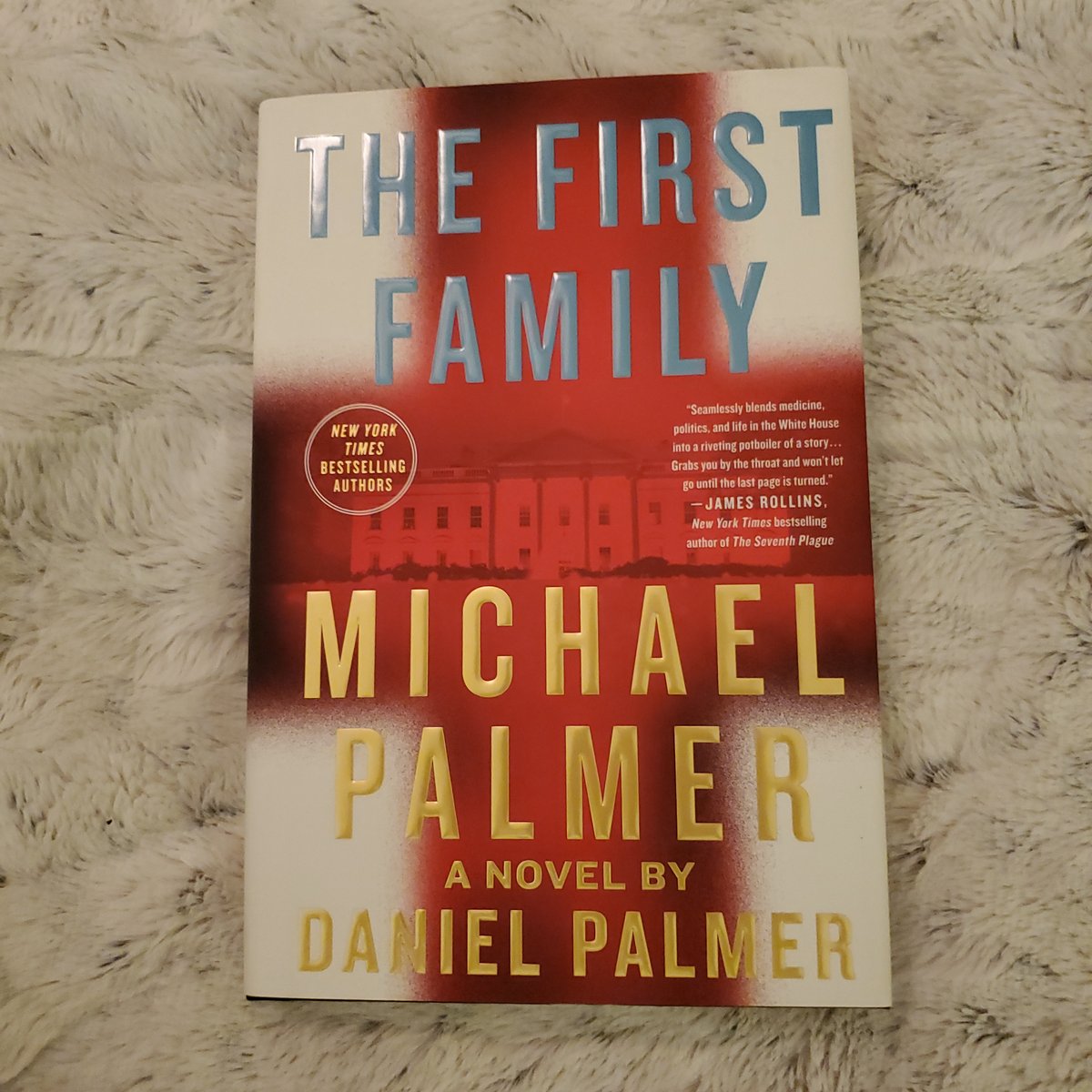 The First Family by Michael Palmer, Daniel Palmer
