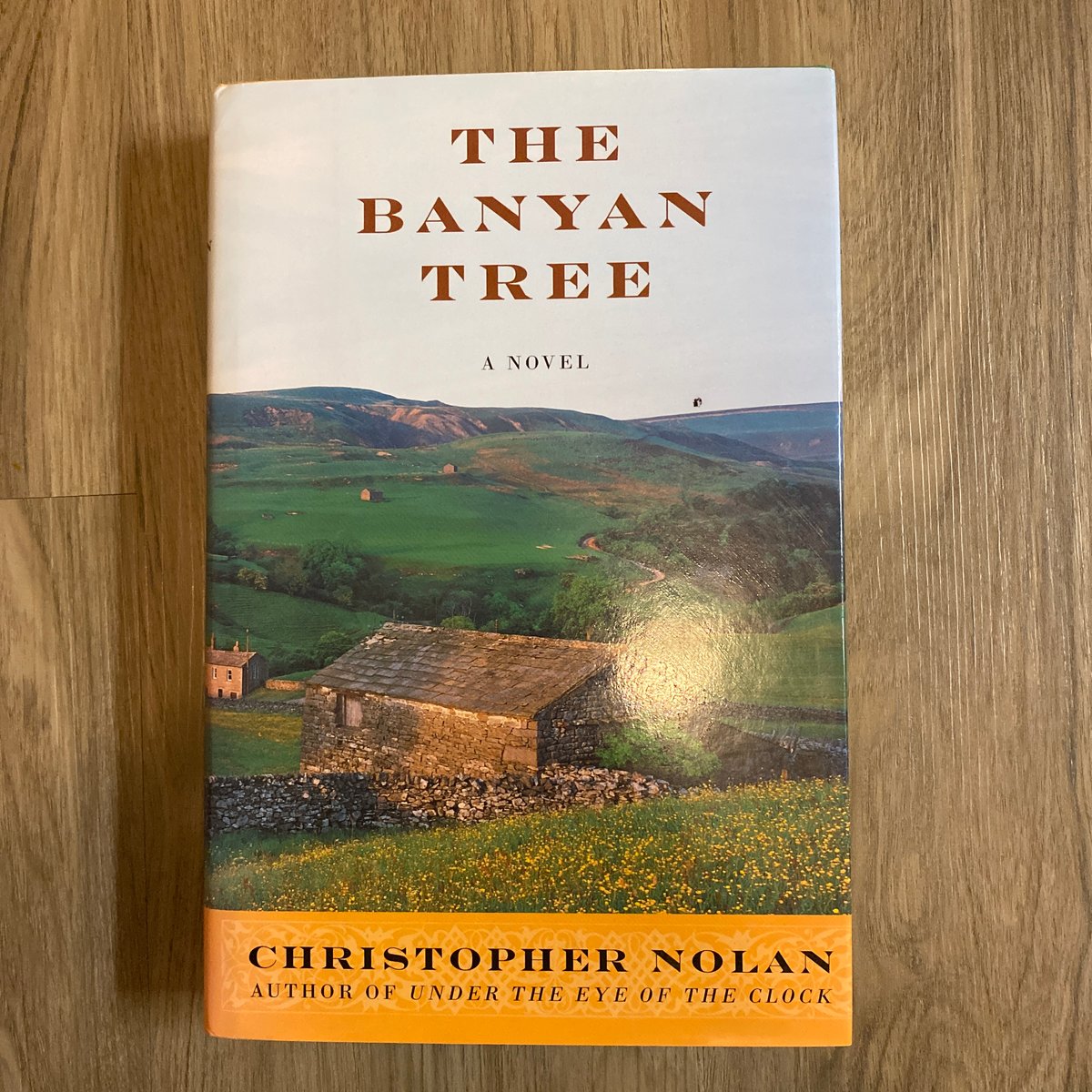 The Banyan Tree by Christopher Nolan