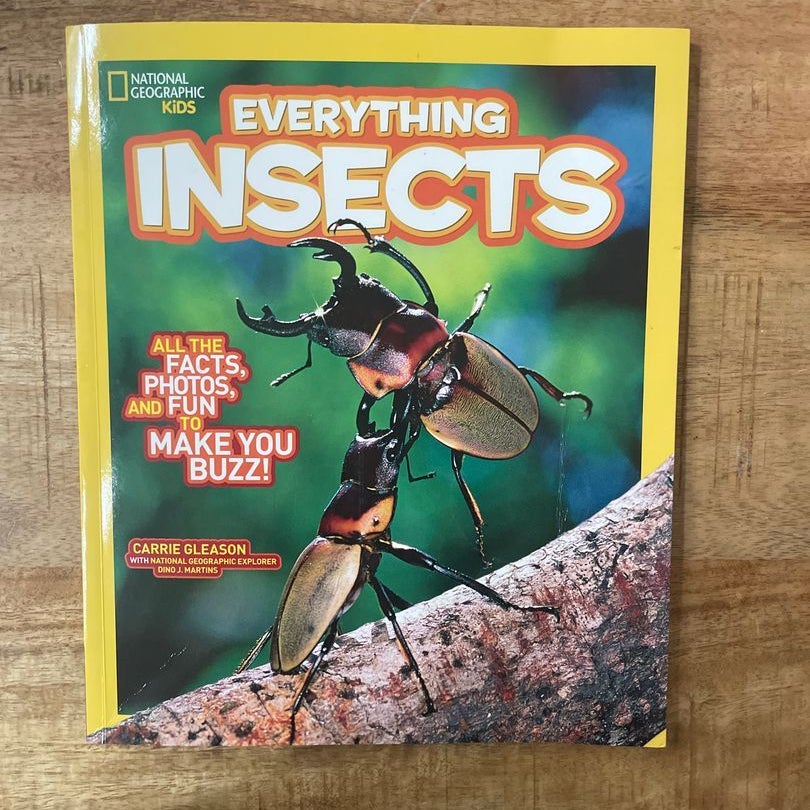 National Geographic Kids Everything Insects by Carrie Gleason
