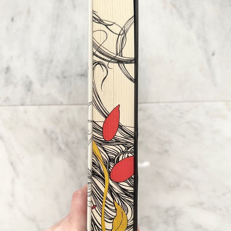 Waterstones: The Art of Prophecy by , Hardcover | Pangobooks