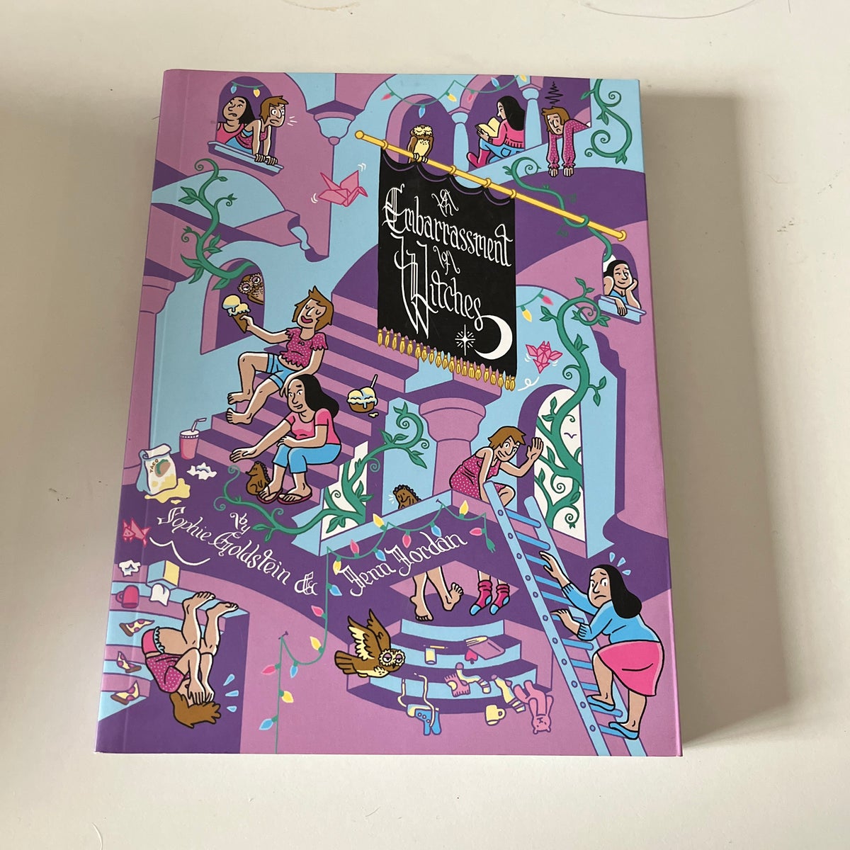 An Embarrassment of Witches by Sophie Goldstein, Paperback | Pangobooks