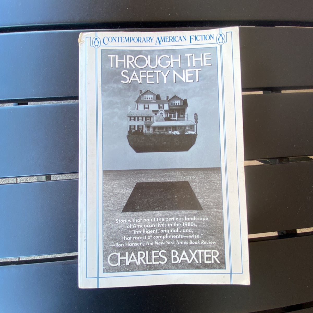 Through the Safety Net by Charles Baxter
