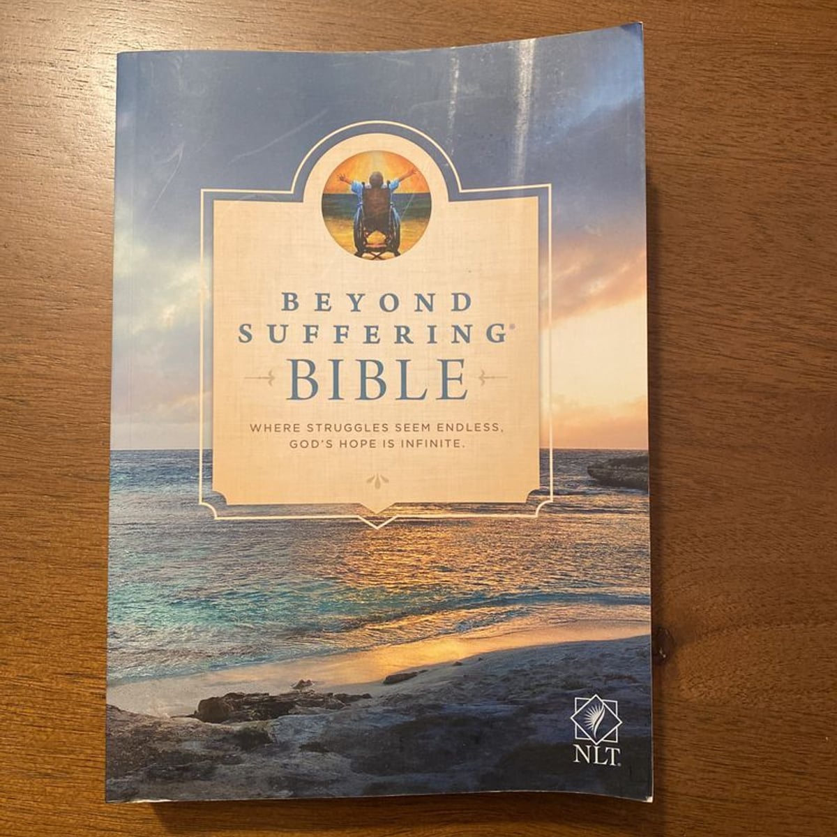 Beyond Suffering Bible by Joni Eareckson Tada, Joni and Friends, Inc.