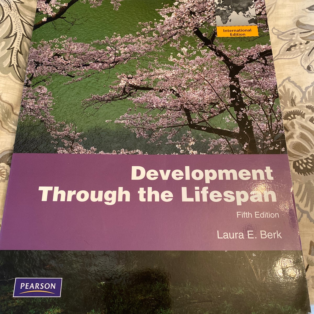 Development Through the Lifespan by Laura E. Beck, Paperback | Pangobooks
