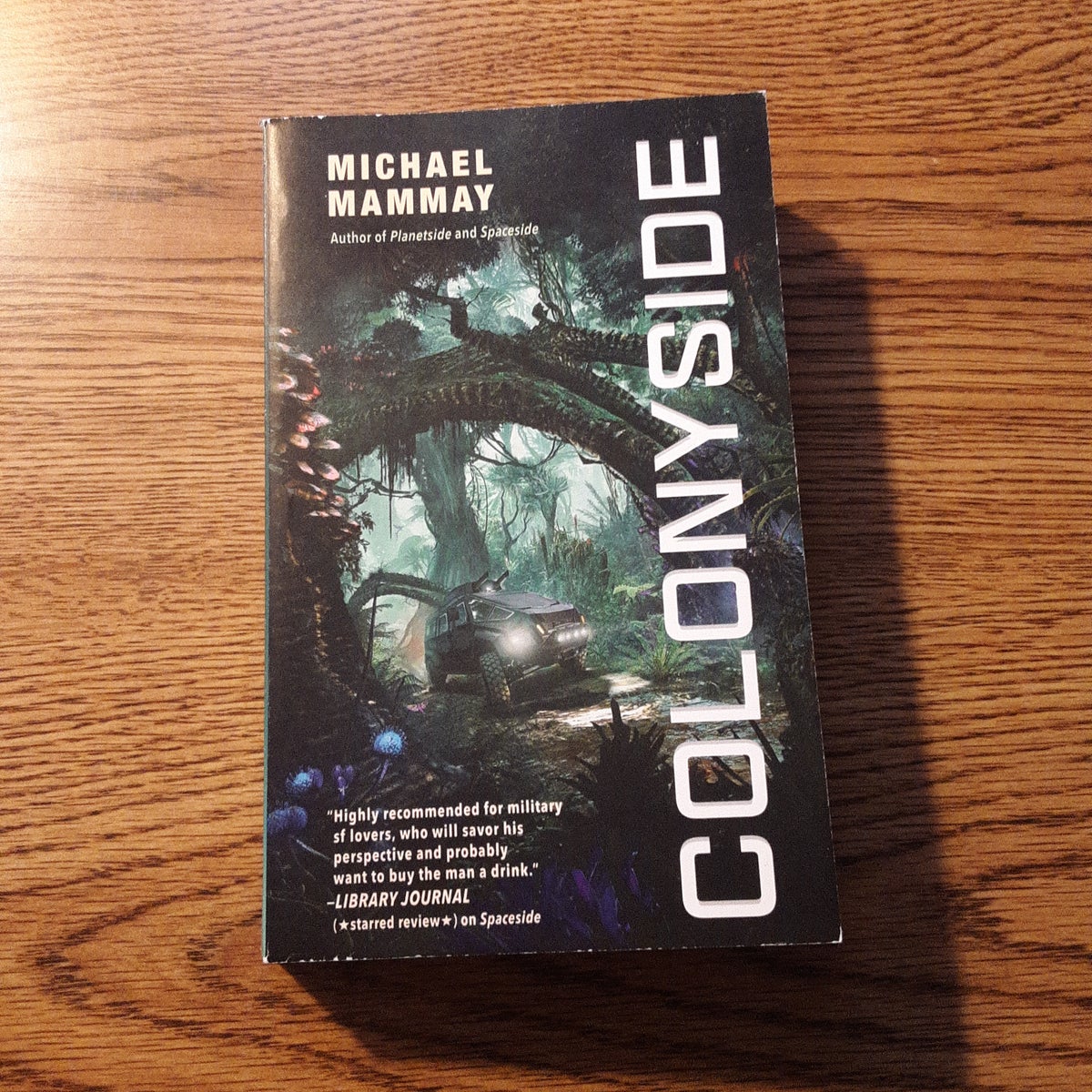 Colonyside by Michael Mammay