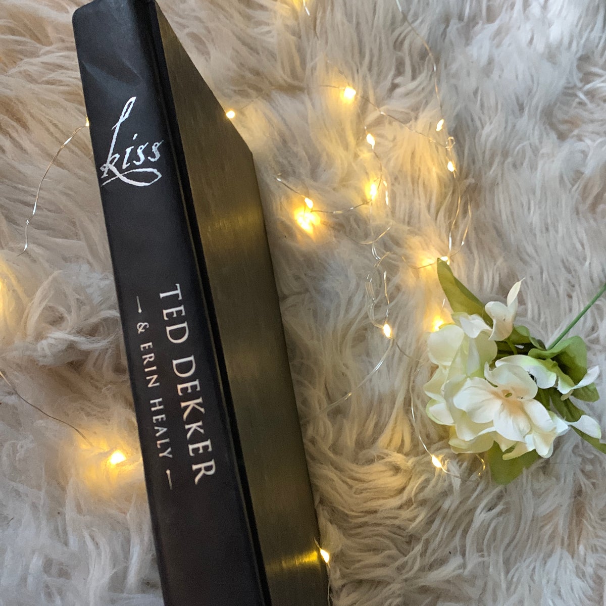 Kiss by Ted Dekker and Erin Healy, Hardcover | Pangobooks