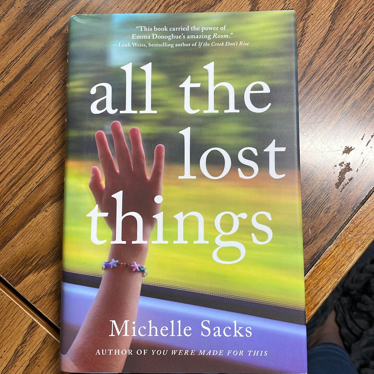 All the Lost Things by Michelle Sacks, Hardcover | Pangobooks