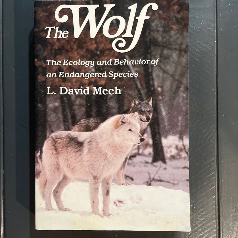 Wolf by David Mech