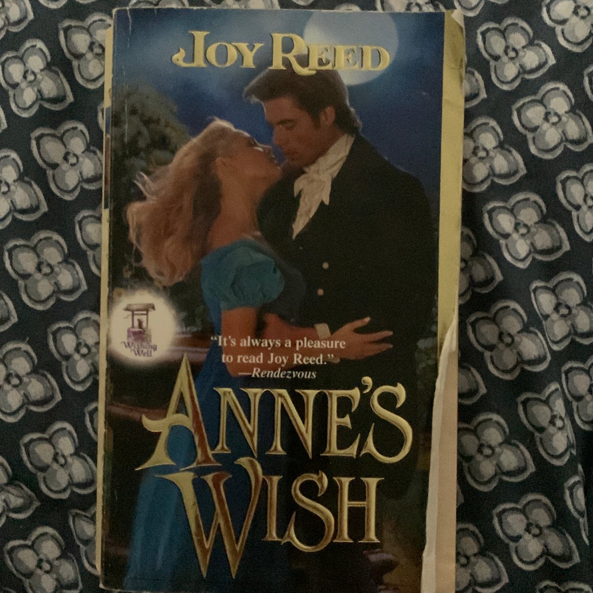 Anne's Wish by Joy Reed, Paperback | Pangobooks