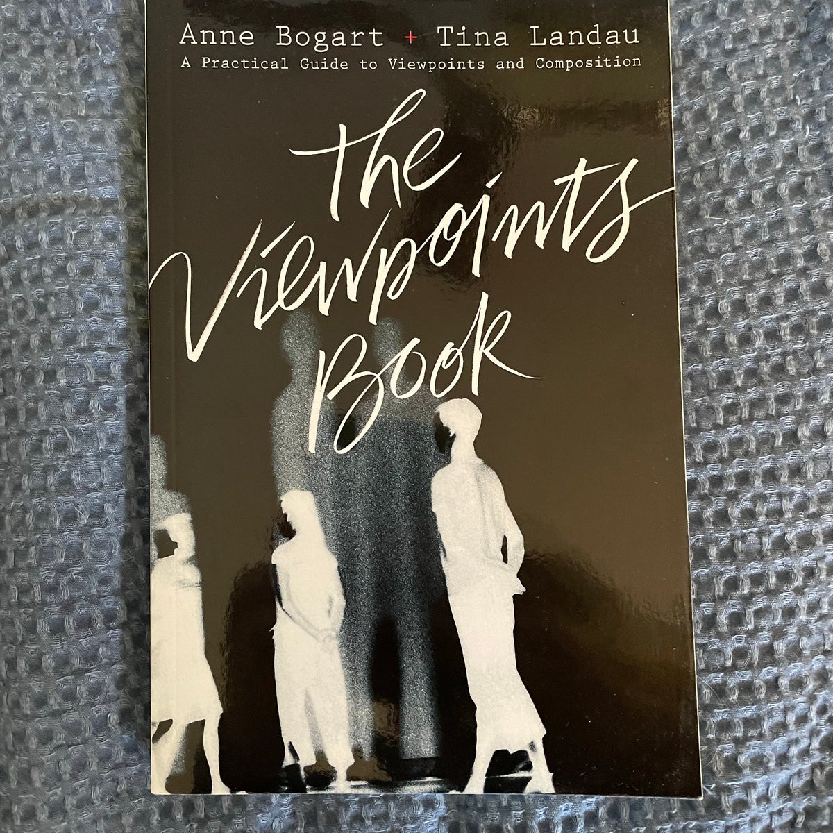 The Viewpoints Book by Anne Bogart, Tina Landau