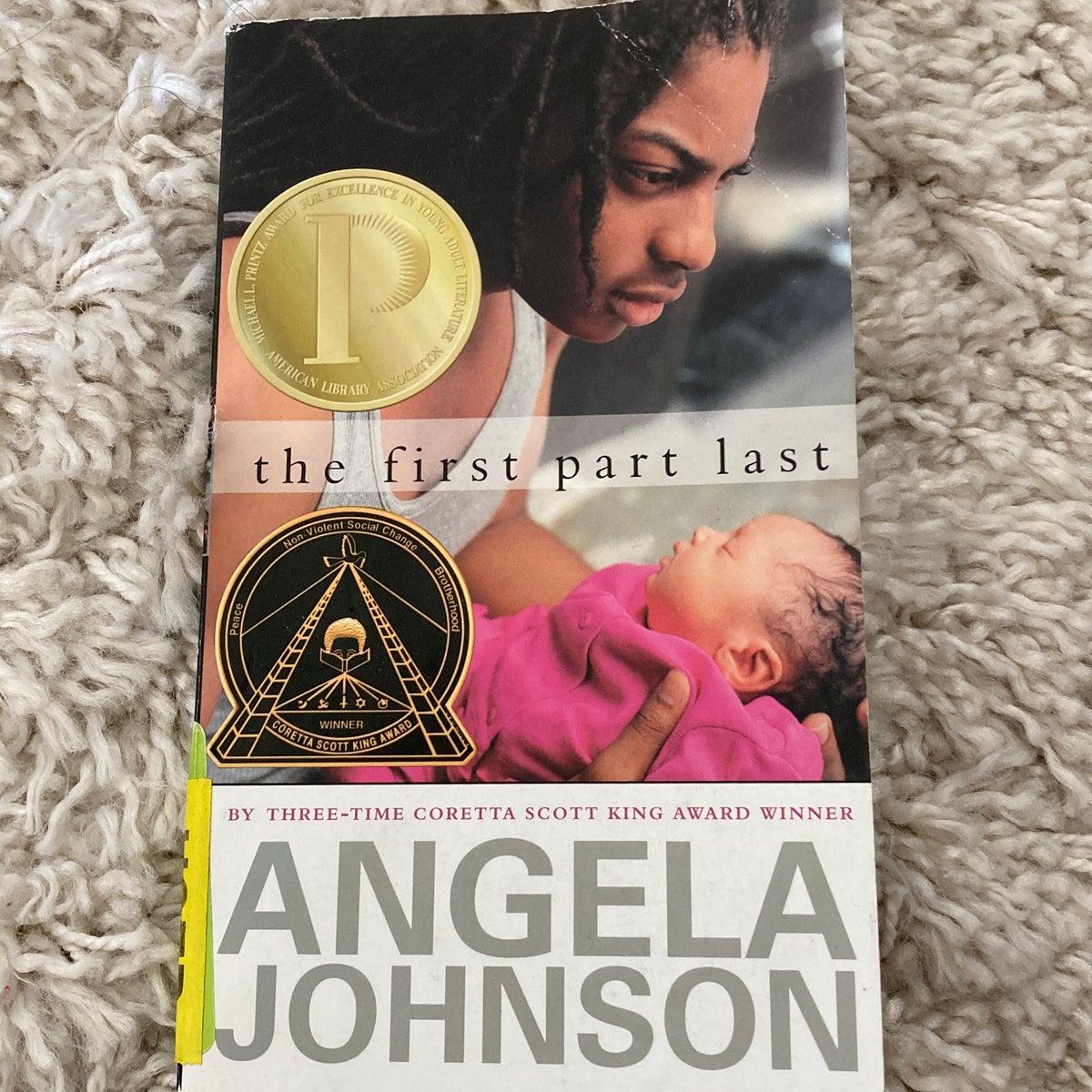 The First Part Last by Angela Johnson