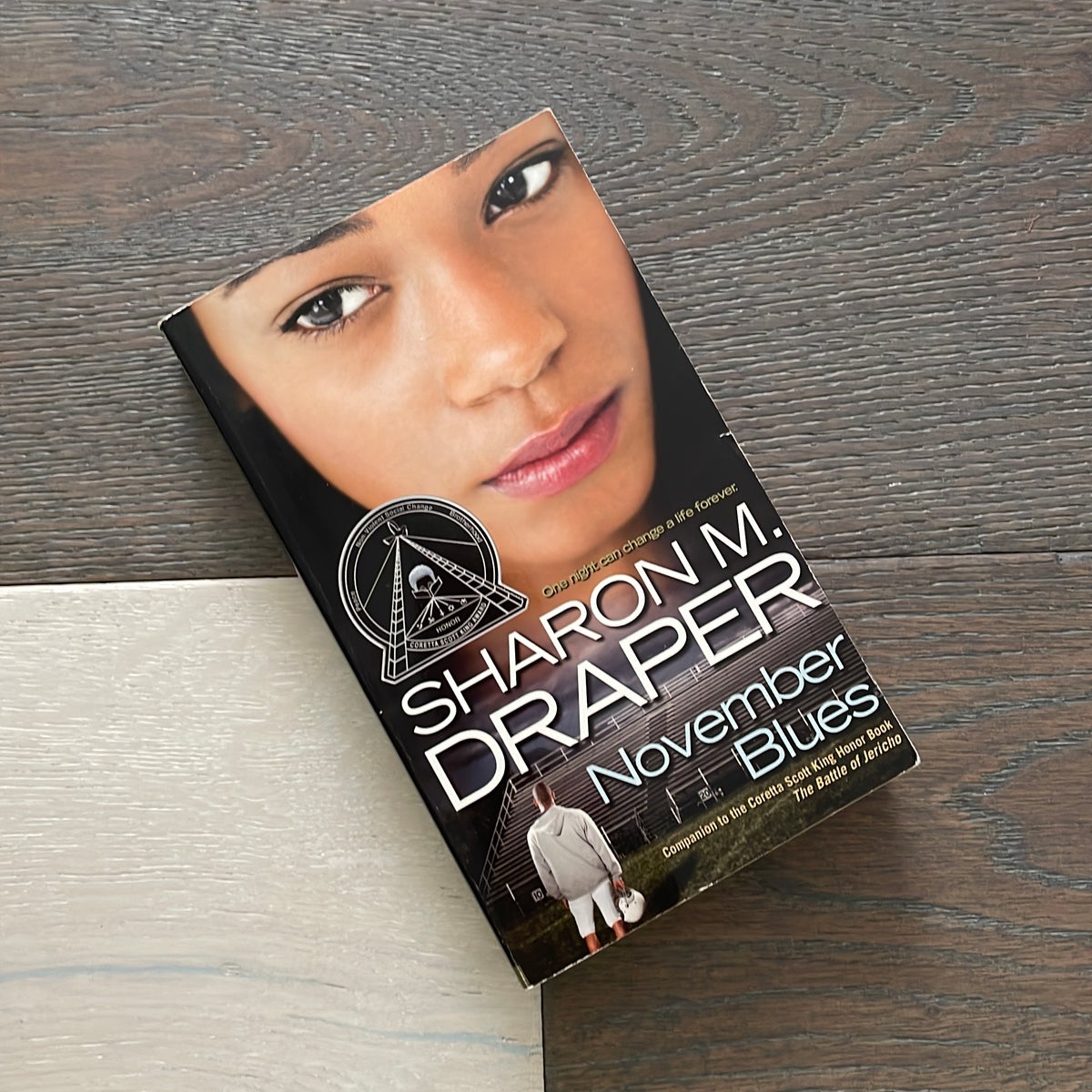 November Blues by Sharon M. Draper