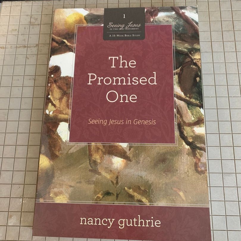 The Promised One by Nancy Guthrie